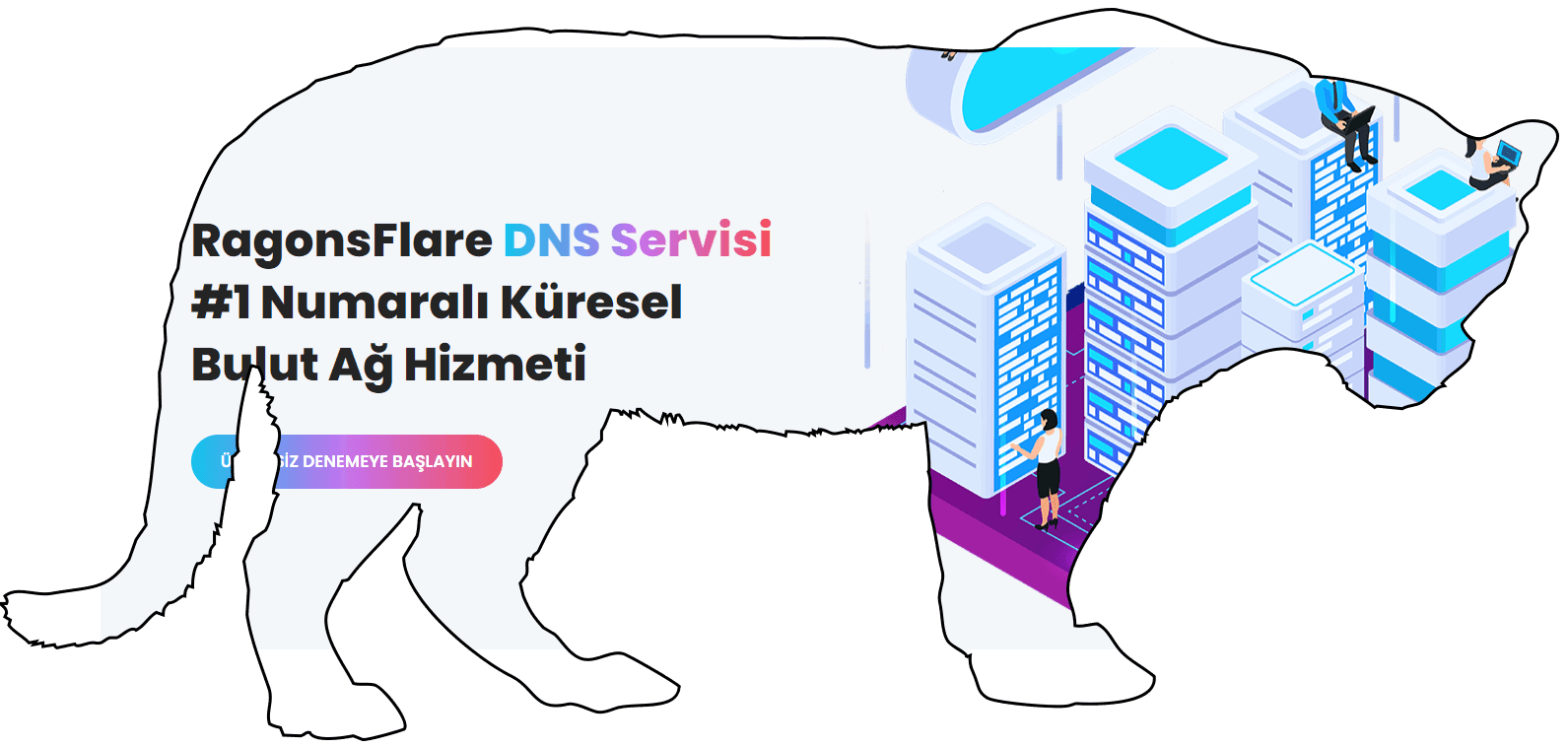 1 Numaralı Alan Adı DNS Barındırma - Hostragons®