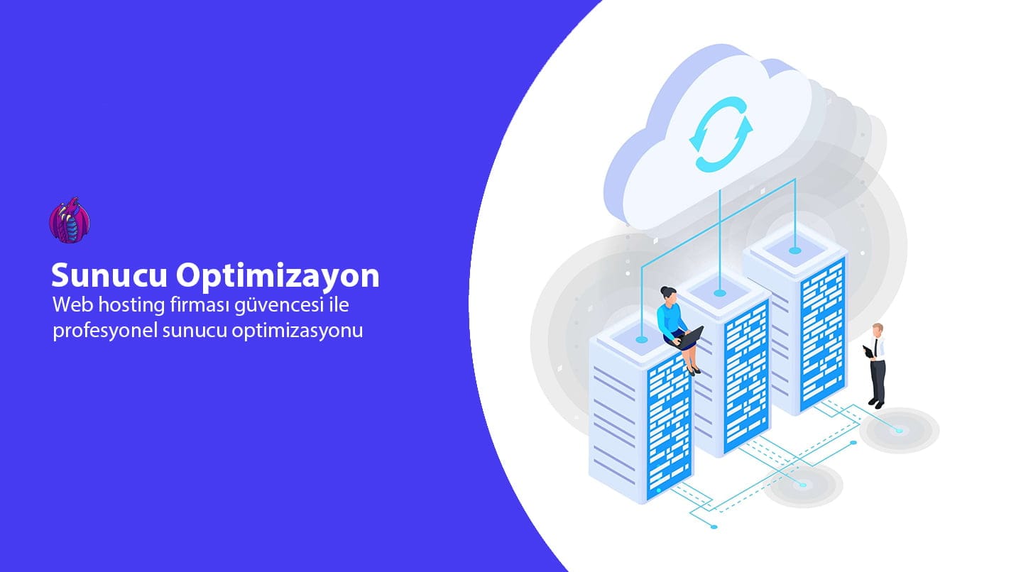 Professional Server Optimization - Hostragons®