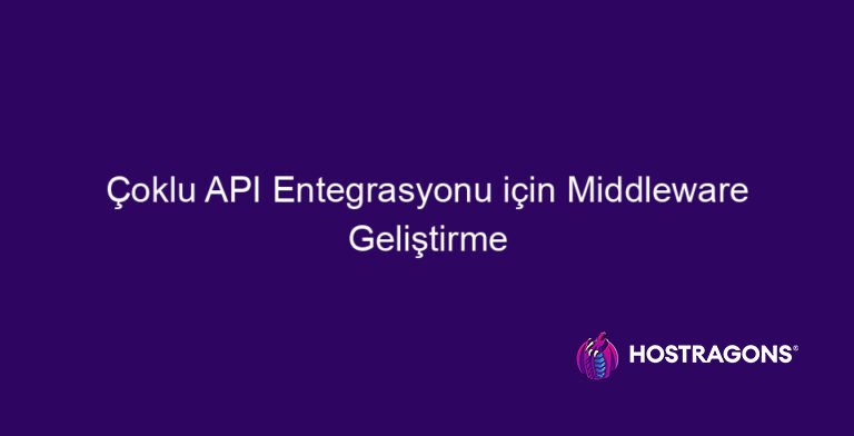 Desarrollo de middleware para la integración de múltiples API - Hostragons®