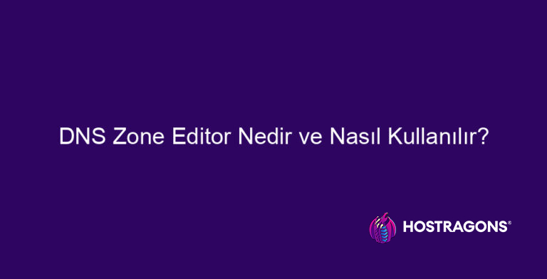 DNS Zone Editor Nedir Ve Nasıl Kullanılır? - Hostragons®
