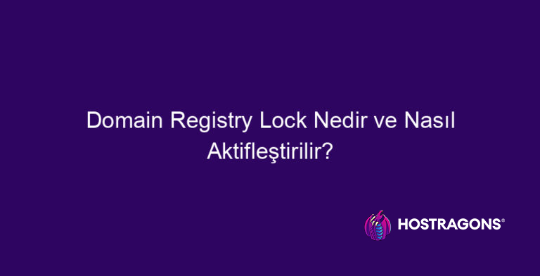 What is Domain Registry Lock and How to Activate It? - Hostragons®