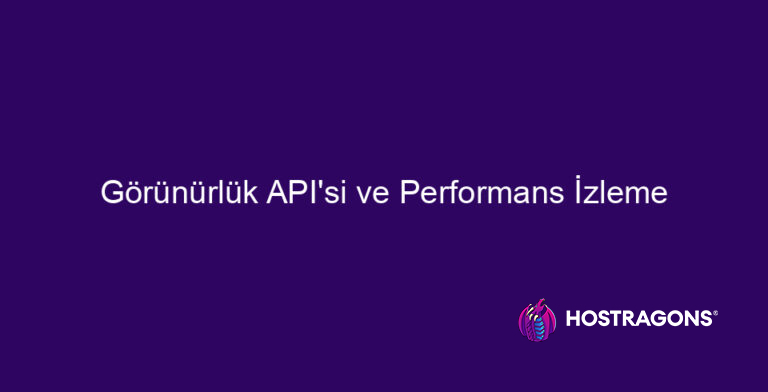 Görünürlük API'si Ve Performans İzleme - Hostragons®