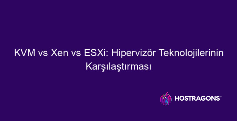 KVM 対 Xen 対 ESXi: ハイパーバイザー テクノロジーの比較 - Hostragons®