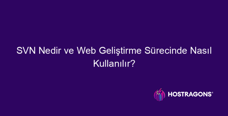 什么是 SVN 以及它在 Web 开发中如何使用？ -Hostragons®