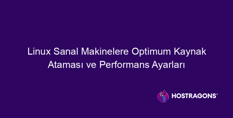 Linux 虚拟机的最佳资源分配和性能调整 - Hostragons®
