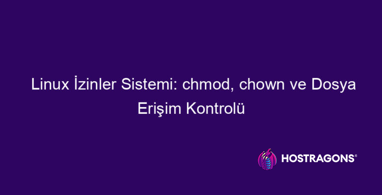 Linux-Berechtigungssystem: Chmod, Chown und Dateizugriffskontrolle ...