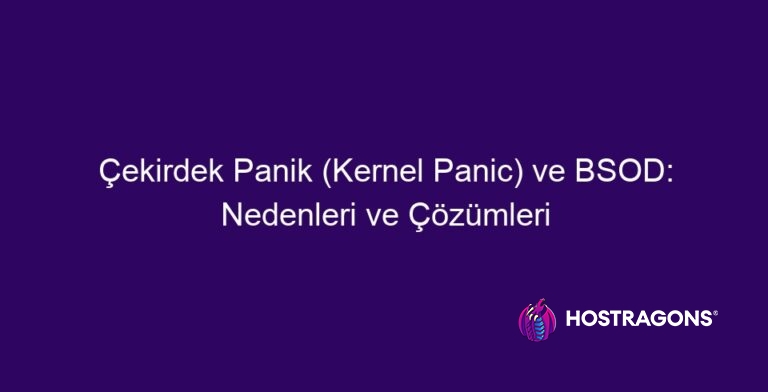 内核崩溃和蓝屏死机：原因和解决方案 - Hostragons®