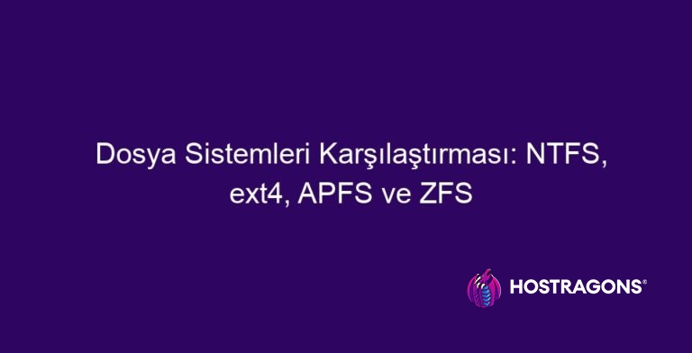 File Systems Comparison: NTFS, Ext4, APFS and ZFS - Hostragons®